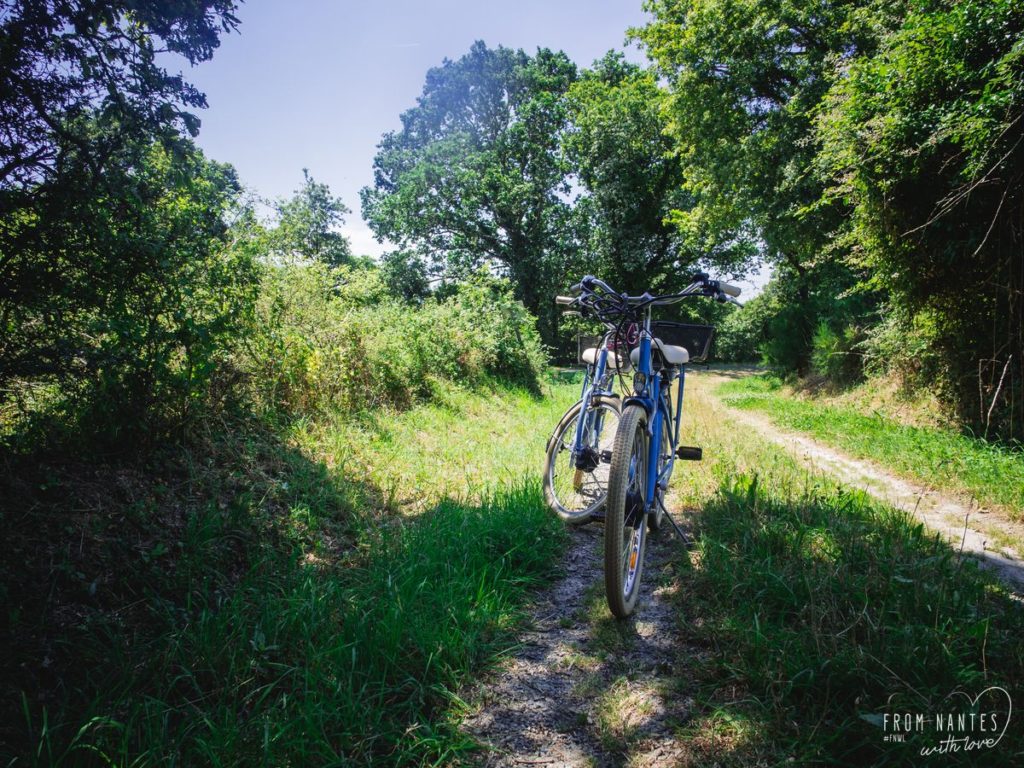 Suivre la Velodyssée entre Pornic et Les Moutiers-en-Retz avec un vélo ...