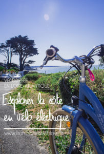 Suivre la Velodyssée entre Pornic et Les Moutiers-en-Retz avec un vélo ...